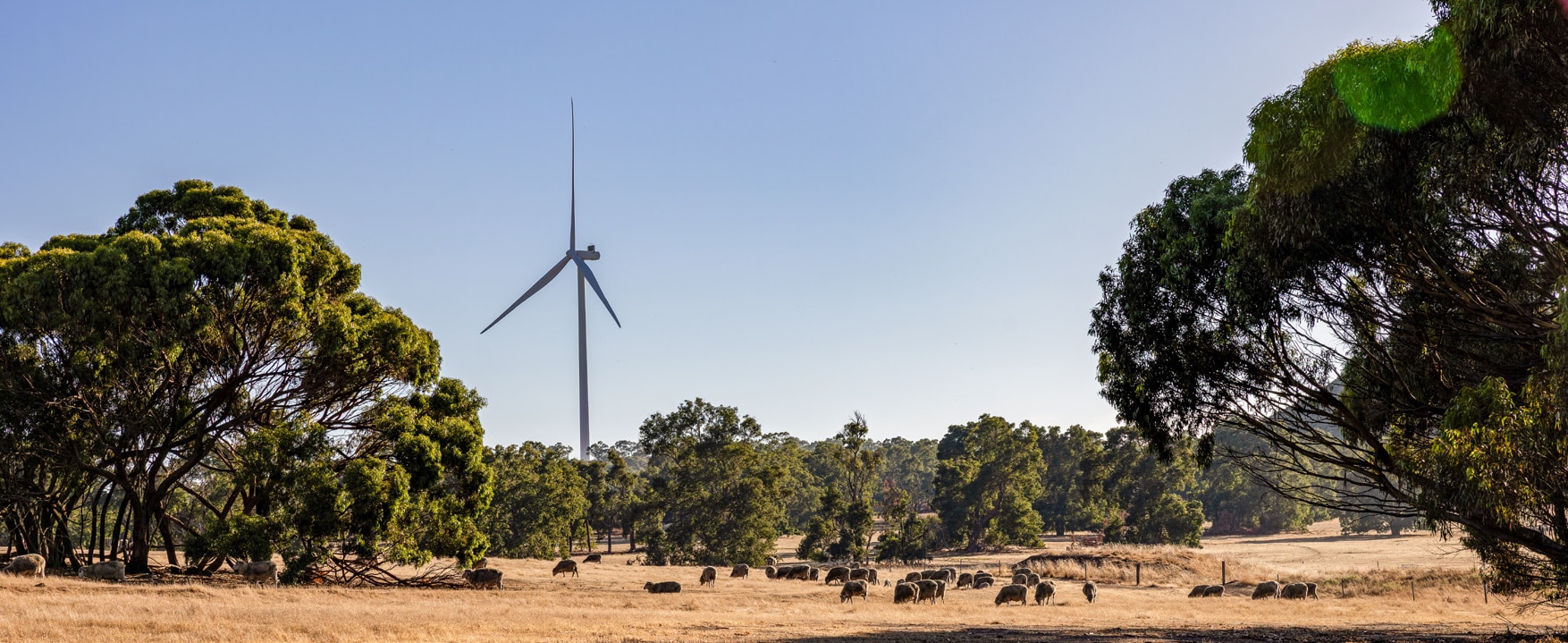 Our Commitment to Responsible Development: Best Practice Charter Report 2025